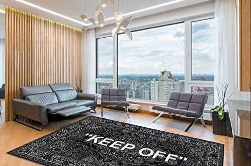 Unique Area Rugs for All Spaces: Style and Comfort Combined – lanzhome.com