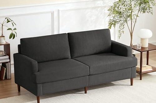 Stylish and Functional Sofas for Every Living Space – lanzhome.com